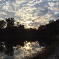 Deam Lake State Recreation Area - Park