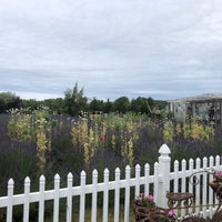 Graysmarsh Berry Farm - Farm in Sequim