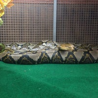 Phuthai Snake Farm - 7 tips