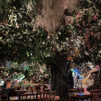 Rainforest Cafe - Theme Restaurant