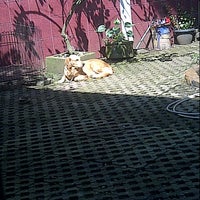 Cipaku, Bandung - 9 tips