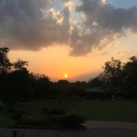 The Westin Sohna Resort & Spa - Vatika Complex