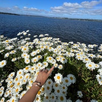 Marsh Park - 14 tips from 667 visitors