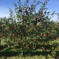 Milk Pail Farms - Watermill, NY