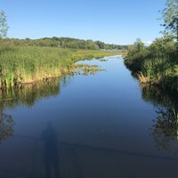 Reeds Lake - 14 tips from 1081 visitors