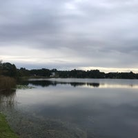 Lake Ivanhoe Park - Central Business District - 8 tips from 524 visitors