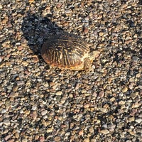 Alibates Flint Quarries National Monument - Fritch, TX