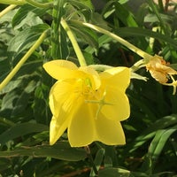 Alibates Flint Quarries National Monument - Fritch, TX