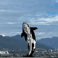 Digital Orca - Coal Harbour - 8 tips from 925 visitors