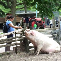 Far Enough Farm - Toronto Island Park