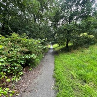 Firth Park - Firth Park - 3 tips