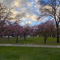 Windsor Town Green - Plaza