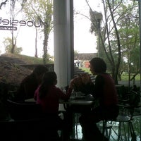 Cafetería MUAC - Circuito Universitari