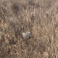 Volo Bog State Natural Area - Nature Preserve in Ingleside