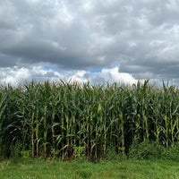 Kenyon Hall Farm - 7 tips