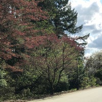 Swan-e-Set Bay Resort & Country Club - Golf Course in Pitt Meadows