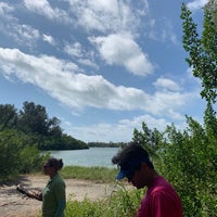 Big Edwards Island - Sarasota, FL