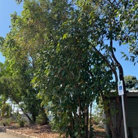 Cardwell - Neighborhood in Cardwell