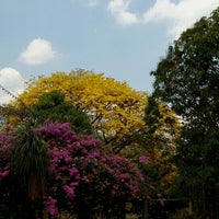 Macaracuay - Neighborhood