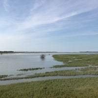 Natuurreservaat Het Zwin