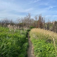 Parco Regionale Del Pineto - Park in Primavalle