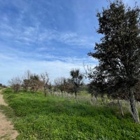 Parco Regionale Del Pineto - Park in Primavalle