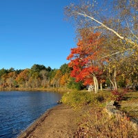 Lake Massapoag - Beach