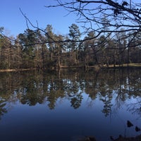 W G Jones State Forest - Park in Conroe