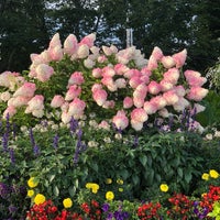 Shore Path At Albert Meadow - 99 visitors