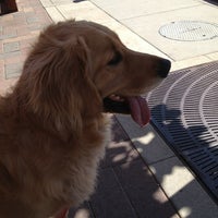 Lazy Dog Restaurant & Bar - The Promenade in Temecula - 40754 Winchester Rd