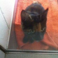 Hamilton SPCA - Hamilton, ON
