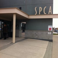 Hamilton SPCA - Hamilton, ON