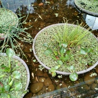 QUO container center - 7 tips from 235 visitors