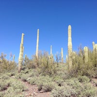 Desert Foothills Library - Library in Cave Creek