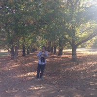 Smokey Ridge Ranch - BBQ Joint in Placerville