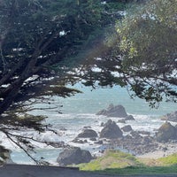 Shell Beach - 2 tips