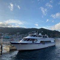 Catalina Island Express - 5 tips
