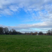 Midsummer Common - Field