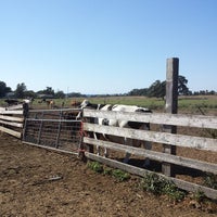 Matos Cheese Factory - Cheese Shop