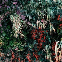 American River Bike Trail - Estates Drive Access - Arden - Arcade ...