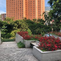 Parque Lineal La Presidenta - El Poblado - 22 tips from 716 visitors