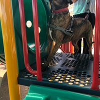 South Run Rec Center - Swimming Pool