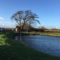 Broom Mill Farm Shop - Tea Room