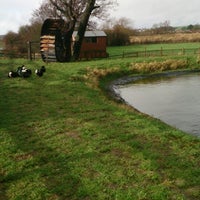 Broom Mill Farm Shop - Tea Room