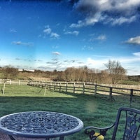 Broom Mill Farm Shop - Tea Room
