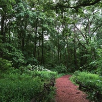 Big Trees Forest Preserve - Sandy Springs, GA