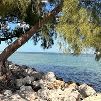 Sand Key Park - Sand Key - 71 tips