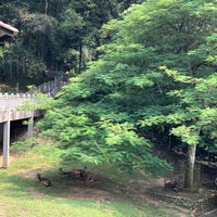 Taman Rusa & Kancil (KL Deer Park) - 9 tips