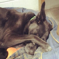 Kansas Humane Society - Animal Shelter