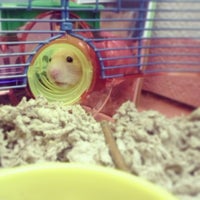 Kansas Humane Society - Animal Shelter